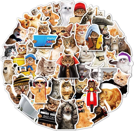 50 stuk kat cat Cartoon stickers voor kinderen en volwassenen ...