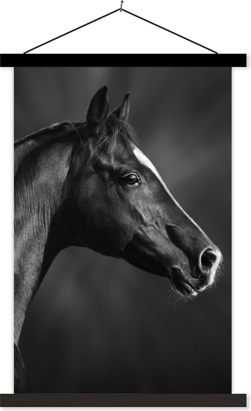 Posterhanger incl. Poster 60x90 cm - Schoolplaat - Paard - Dieren - Zwart - Wit -... | bol