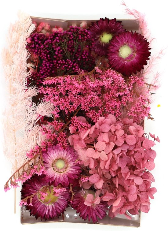 Droogbloemen Mix Roze (20 gram) | bol