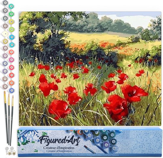 Figured'Art Schilderen op Nummer Volwassenen canvas Veld met klaprozen ...