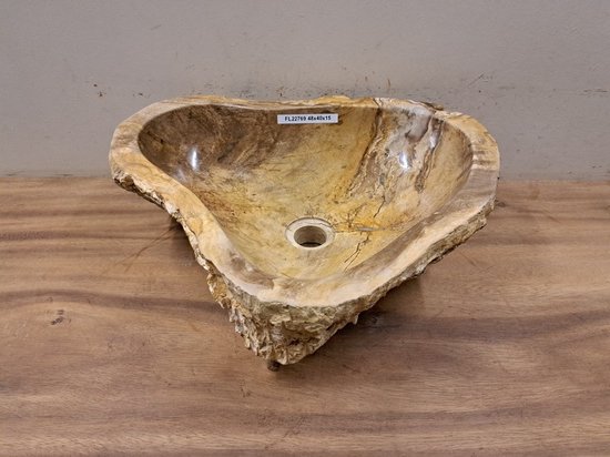 Waskom van versteend hout - 48x40x15cm - FL22769 | bol