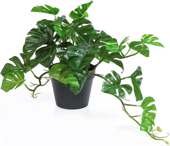 Kleine nep monstera plant 26,6 cm - Kunstplanten voor binnen en buiten ...