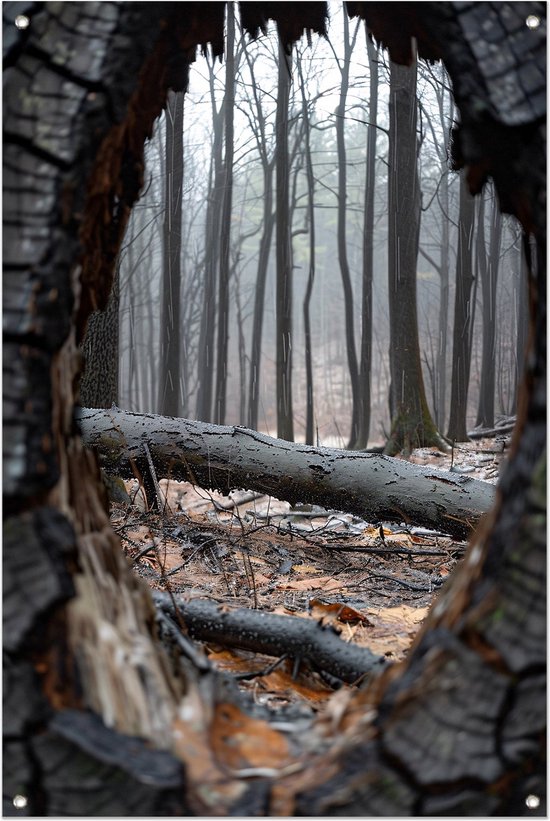 doorkijk poster - Bos poster - Tuinposters Natuur - Muurdecoratie ...