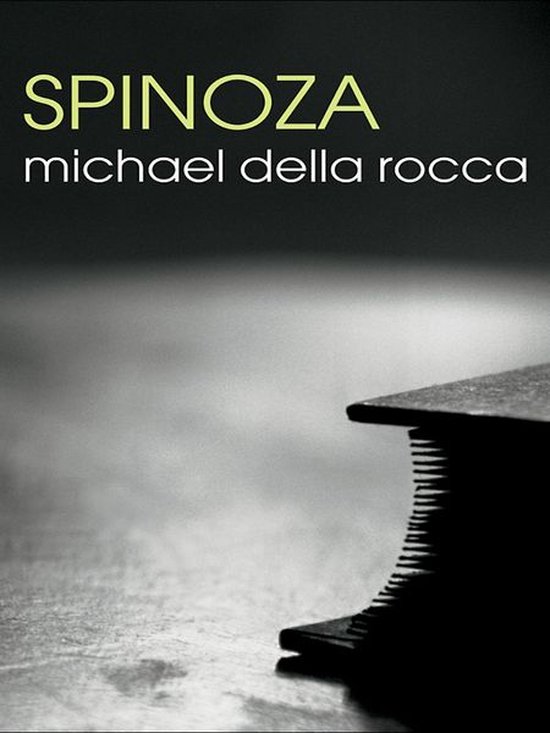 The Routledge Philosophers - Spinoza (ebook), Michael Della Rocca ...
