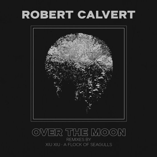 Robert Calvert - Over The Moon (7" Vinyl Single), Robert Calvert ...