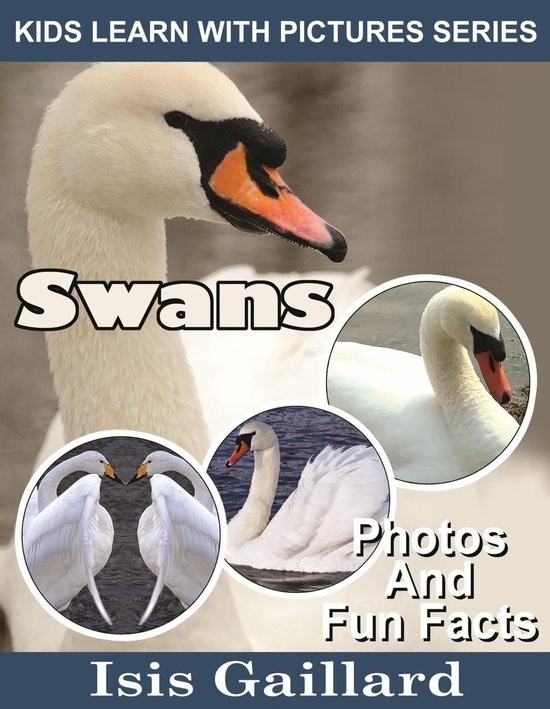 Kids Learn With Pictures 80 - Swans Photos and Fun Facts for Kids ...
