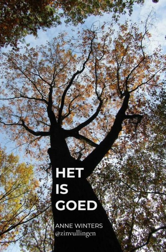Het is goed, Anne Winters | 9789464482157 | Boeken | bol