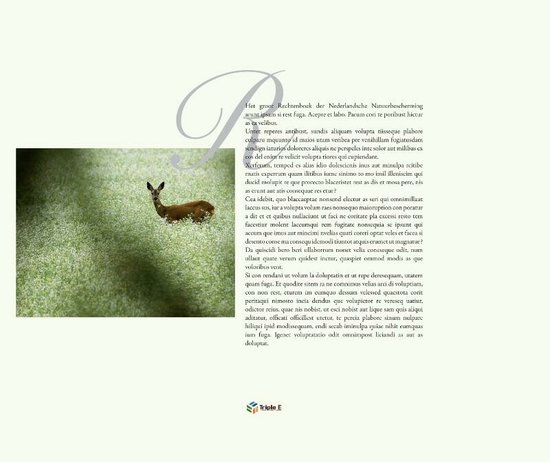 Het groot rechtenboek der vaderlandsche natuurbescherming, Tom Bade ...