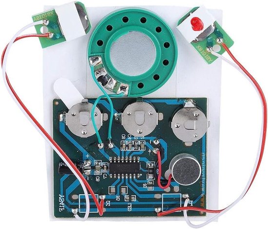 Recordable Music Sound Voice Module Chip met 0.5W Speaker en ...