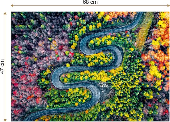 Roovi puzzel Cheia Pass - 1000 stukjes. | bol