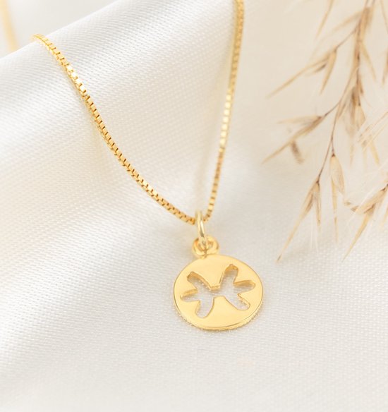 Ketting 'Sterrenbeeld' - Vissen - Rosé Goud | bol