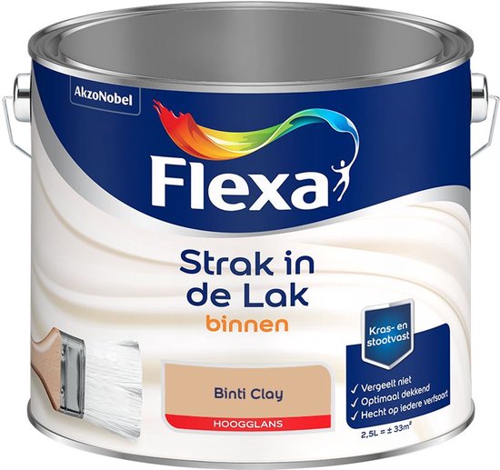 Strak in de Lak Binnenlak Hoogglans - Binti Clay - 2,5 L | bol