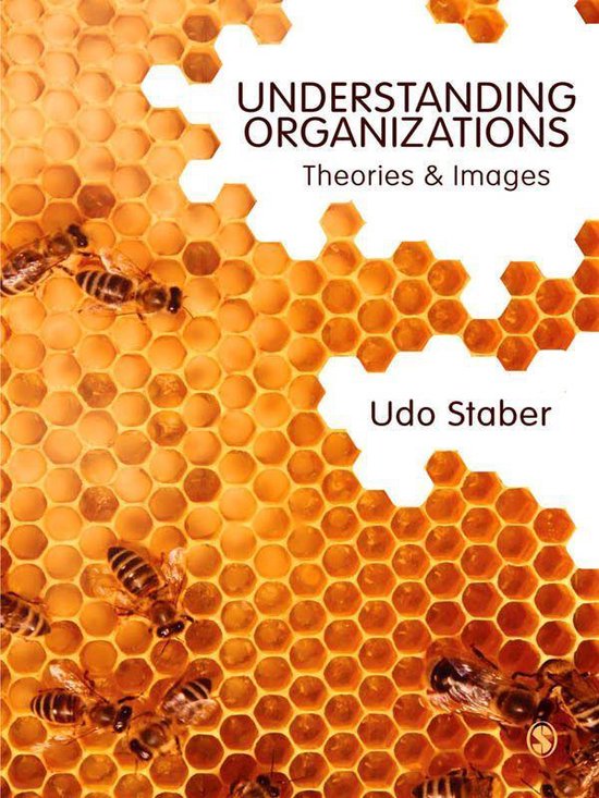 Understanding Organizations (ebook), Staber | 9781446291573 | Boeken | bol