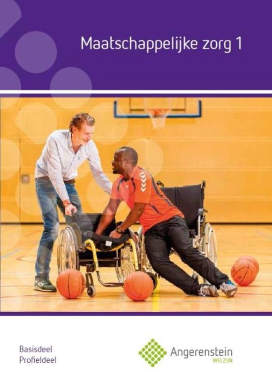 Angerenstein Welzijn - Maatschappelijk zorg, J. Bolt | 9789037229592 ...