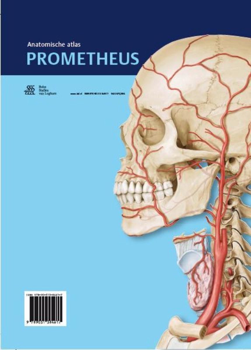 Prometheus anatomische atlas - Hoofd, hals en neuroanatomie ...