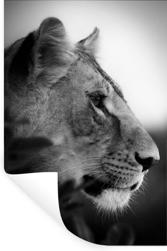 Muurstickers - Sticker Folie - Portret van een tijger in de jungle - zwart wit - 60x90... | bol