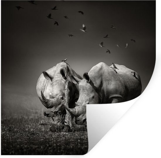 Muurstickers - Sticker Folie - Neushoorn - Vogel - Dieren - Landschap ...
