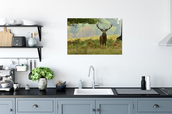 Edelhert in de natuur Poster 60x40 cm - Foto print op Poster ...