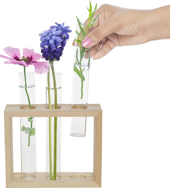 Belle Vous Muur Hang Glazen Testbuis Planten Vaas – 4 Bloemen Buisjes ...
