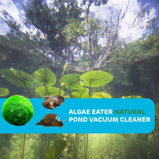 vdvelde.com - Algeneter Natuurlijke Vijverstofzuiger Pakket - L - Voor ...