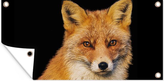 Décoration murale murale extérieure Renard - Rouge - Zwart - 160x80 cm ...