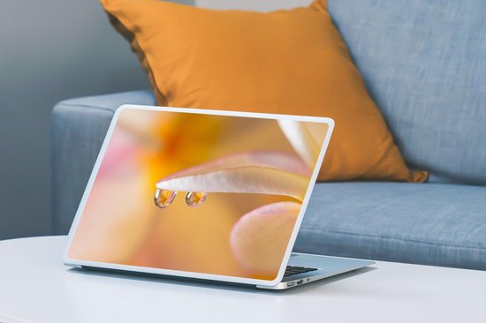 Laptop sticker - 12.3 inch - Close-up van waterdruppels op een Plumeria ...