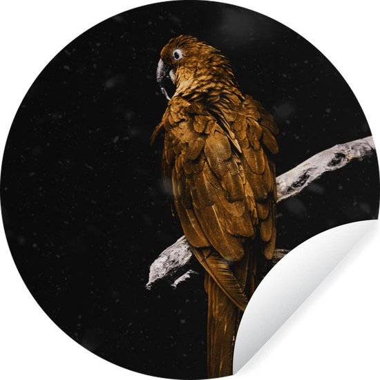 WallCircle - Muurstickers - Behangcirkel - Papegaai - Goud - Tak - ⌀ 120 cm -... | bol