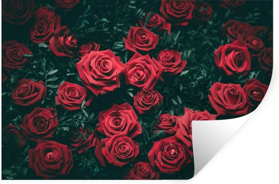 Muurstickers - Sticker Folie - Rozen - Bloemen - Rood - 30x20 cm ...