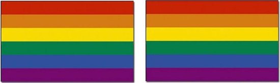 2x Regenboog vlaggen 90 x 150 cm - Gaypride vlag | bol