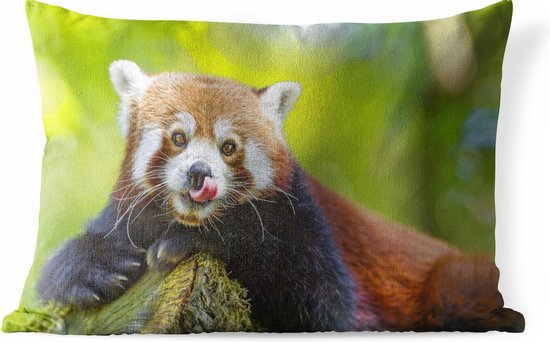 Buitenkussens - Tuin - Gekke rode panda - 60x40 cm | bol.com