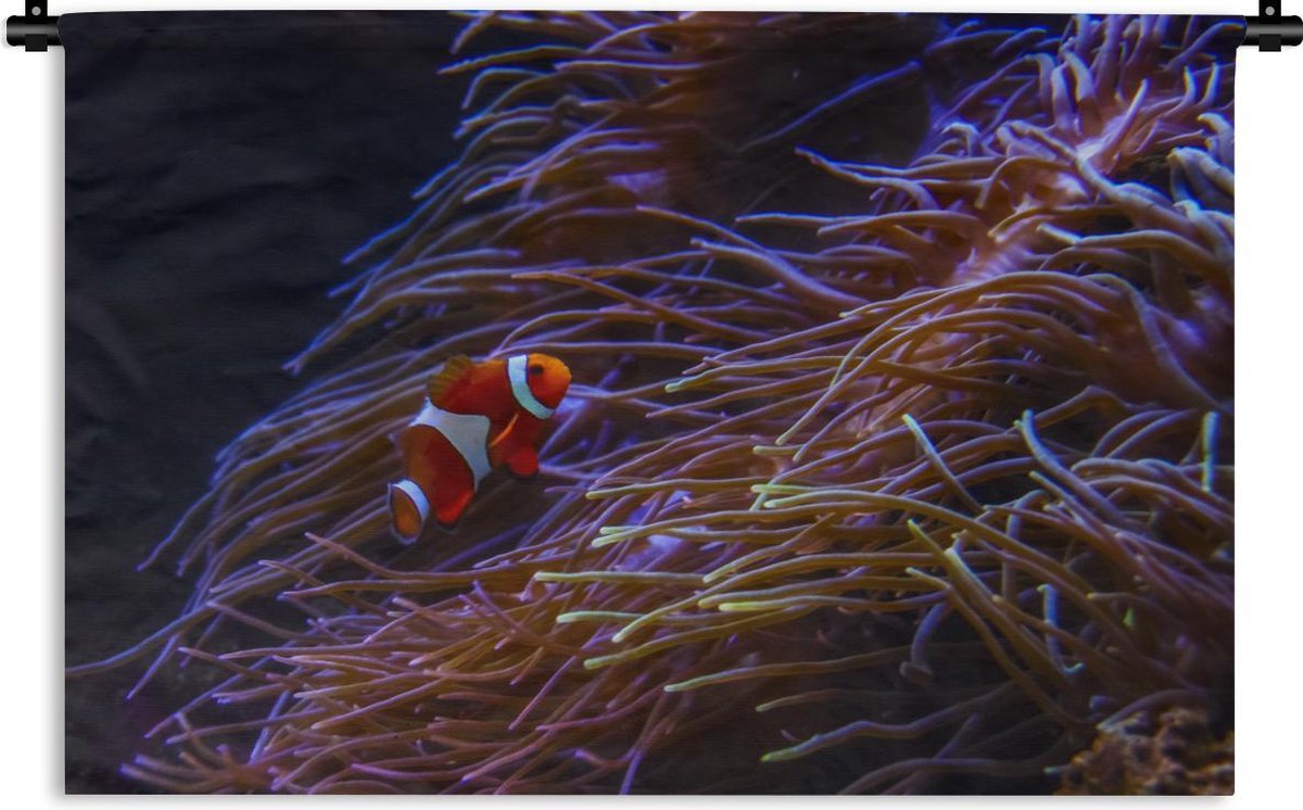 Wandkleed Vissen - Nemo clown vis bij koraal Wandkleed katoen 180x120 ...