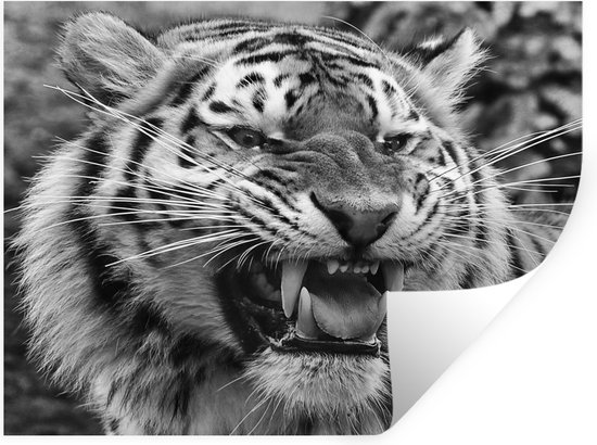 Muurstickers - Sticker Folie - Tijger - Dieren - Zwart - Wit - 160x120 cm - Plakfolie... | bol