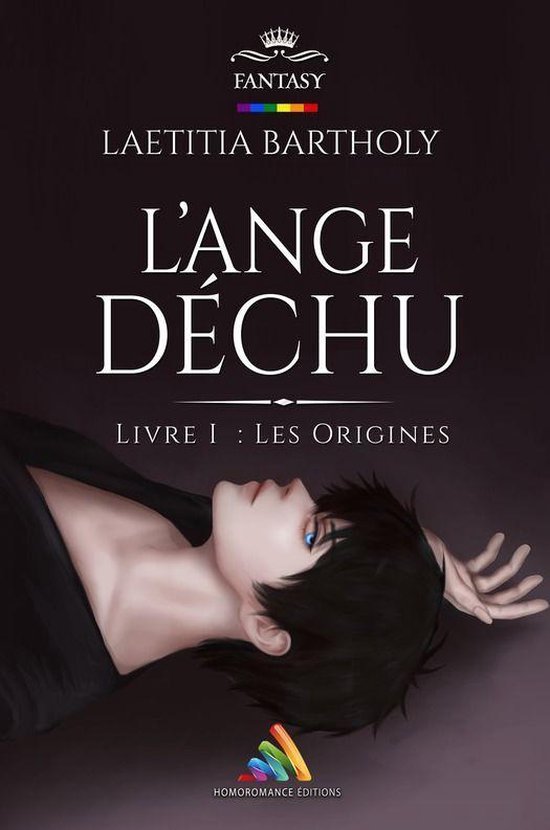 Roman gay - MxM - L'Ange Déchu - Livre I : Les Origines (ebook ...