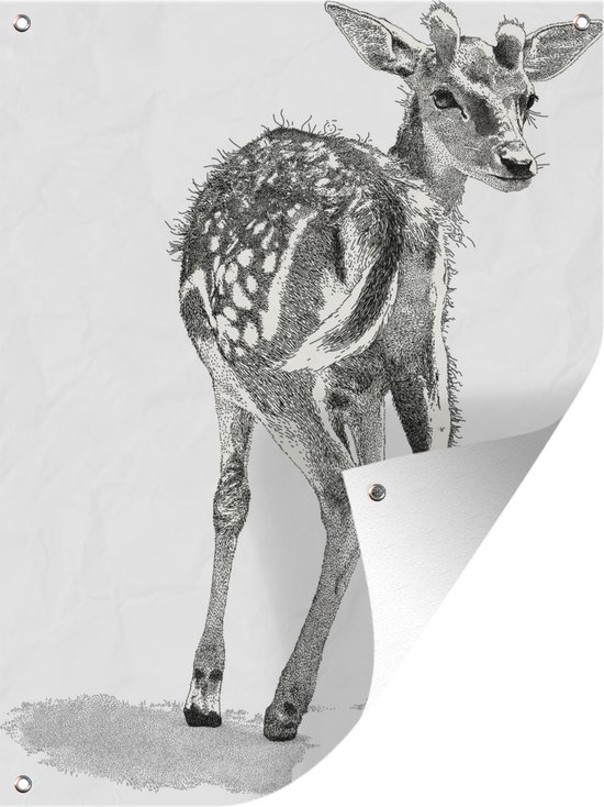 Tuin decoratie Een gedetailleerde illustratie van een jong hert - 30x40 ...