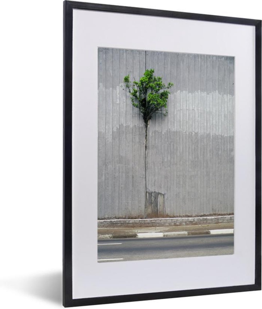 Struik groeit door barst in betonnen muur | bol.com
