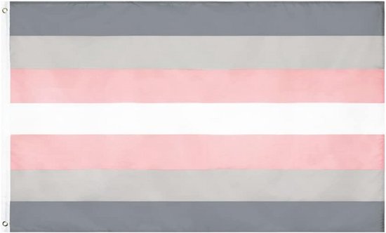 Demigirl Pride Flag 3x5 Fts - LGBTQIA Banner voor Demi Vrouwen | bol