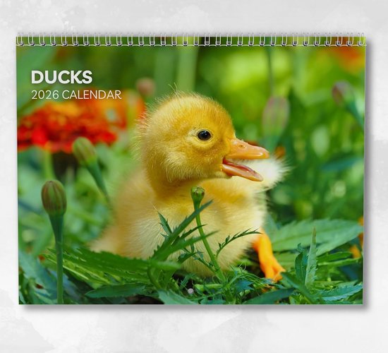 Eenden Maandkalender 2026: A4 Hangkalender met Ruimte voor Notities ...