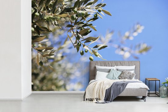 Behang - Fotobehang Takken van de olijfboom in Frankrijk - Breedte 525 ...