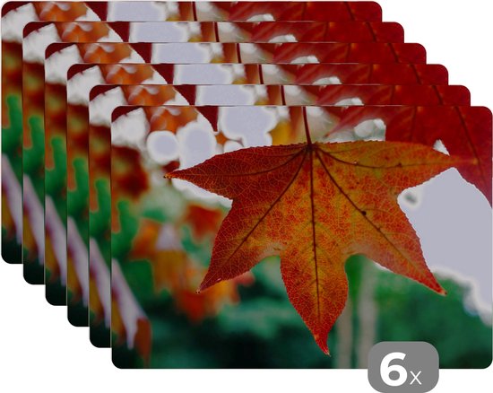 Set de table - Napperons de table en plastique - Automne - Rural ...