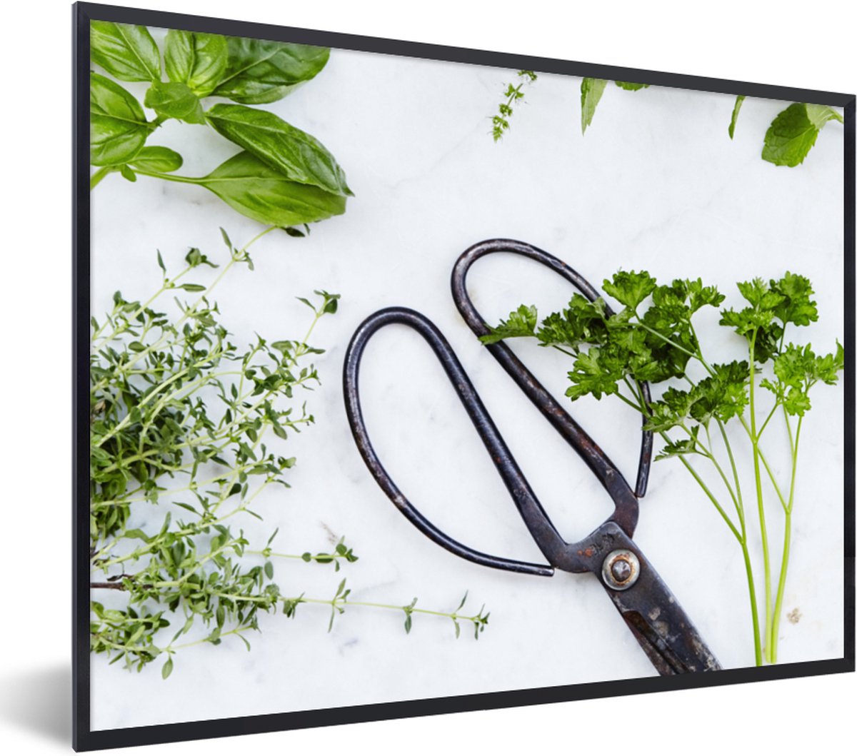 Fotolijst incl. Poster - Kruiden en schaar op marmeren ondergrond ...