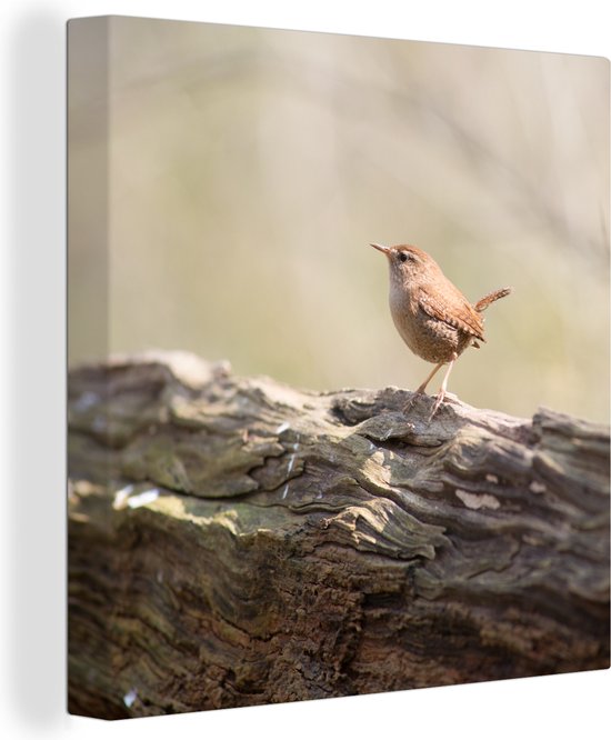 Canvas Schilderij Winterkoninkje op een boomstam - 20x20 cm - Wanddecoratie | bol