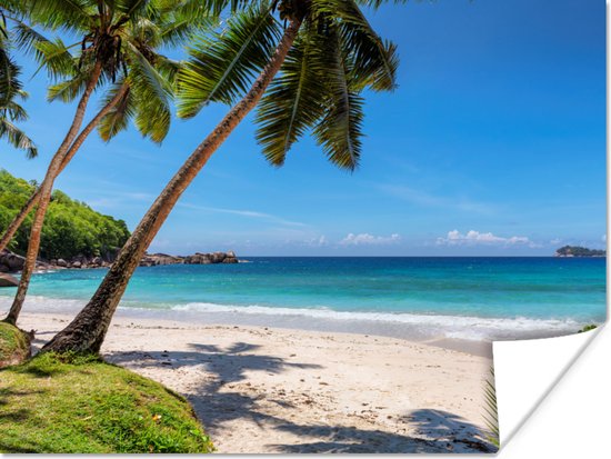 Poster Strand - Zee - Palmbomen - Zon - 40x30 cm | bol.com