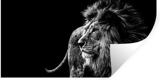 Muurstickers - Sticker Folie - Dieren - Wild - Leeuw - Zwart - Wit - 80x40 cm -... | bol