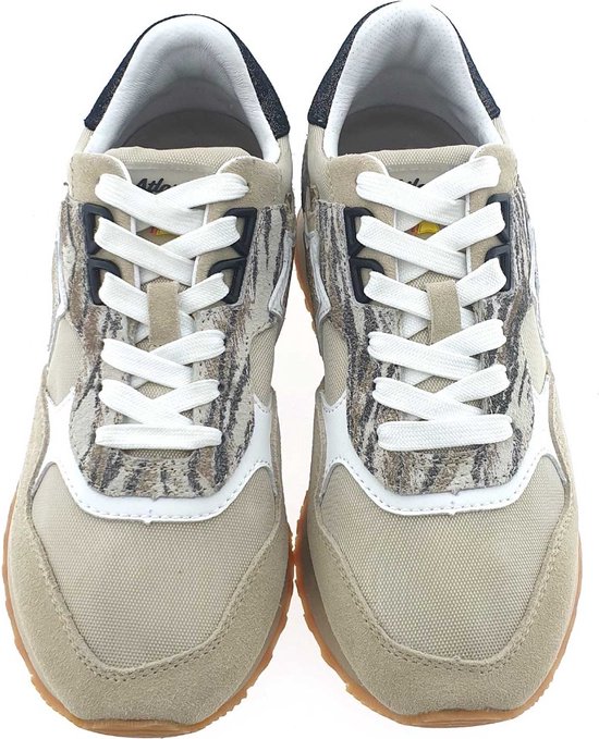 Atlantic Stars - GHALAC | bol