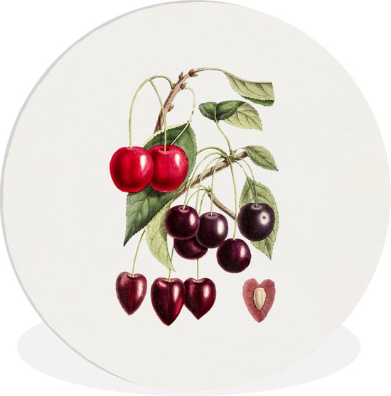 WallCircle - Wall Circle - Wall Circle Indoor - Cerises - Fruits ...