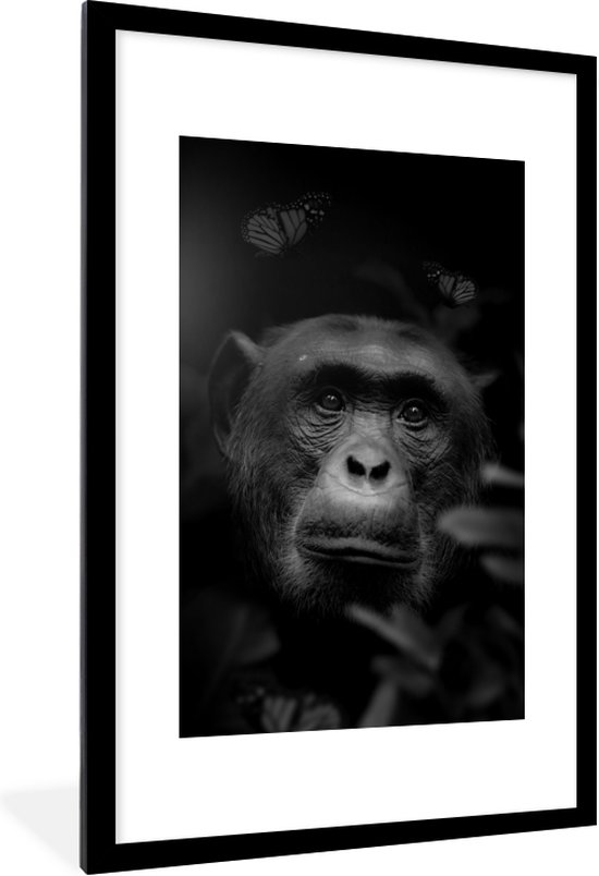 Posters Zwart Wit - een aap met vlinders in de jungle - zwart wit ...