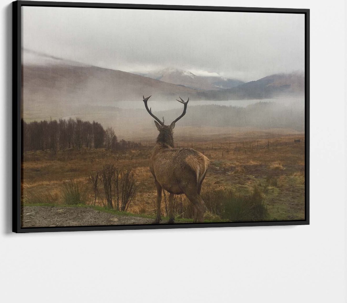 Hert in een Landschap | 100x70 cm | Dieren Hert | Canvas ...