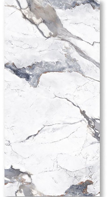 PVC Marmer Wandpaneel Glans Paneel 260x120x0.3cm | bol