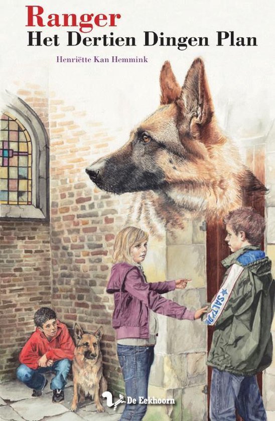 Het Dertien Dingen Plan / Druk 1, Henriette Kan Hemmink | 9789045413426 ...