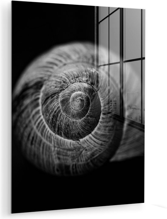 MuchoWow - Glasschilderij - Foto op glas - Acrylglas - Slak - Zwart ...